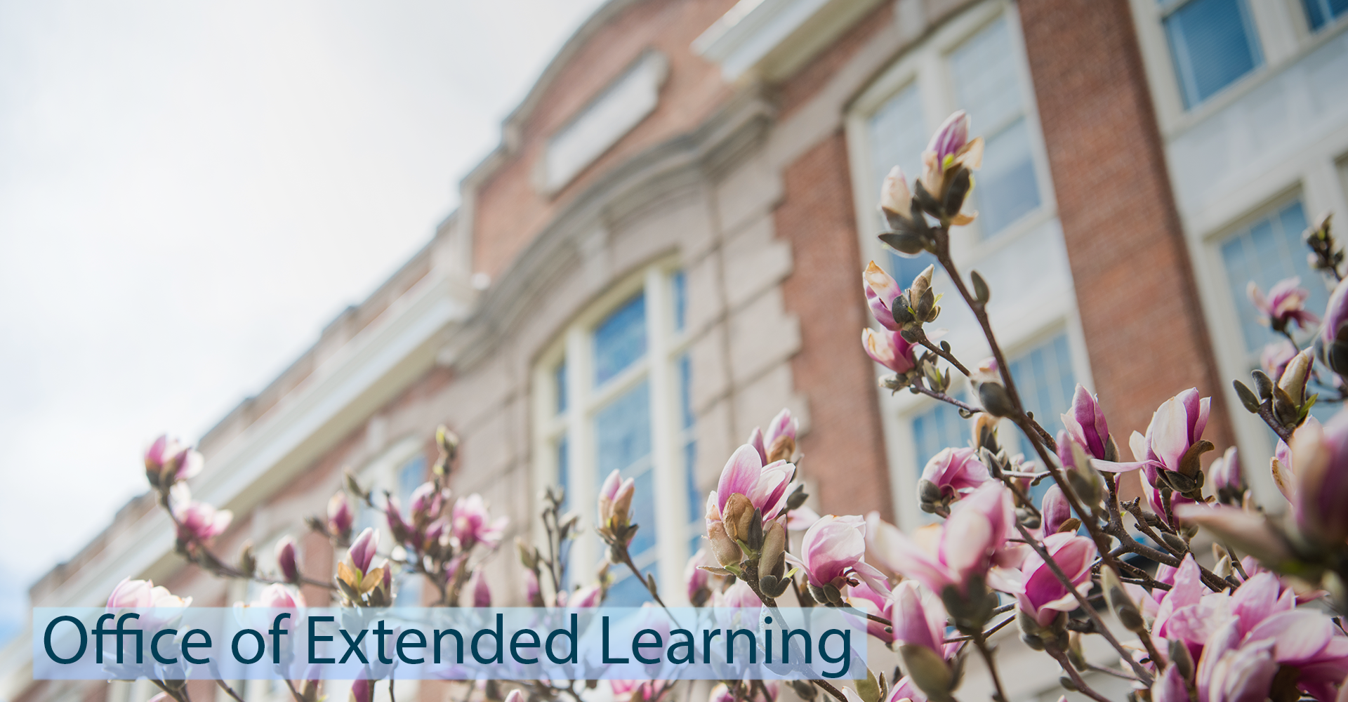 Extended Learning | SUNY New Paltz